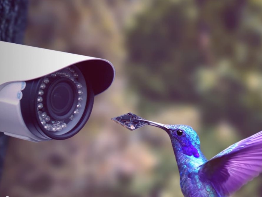 Champion du Wi-Fi HaLow, l’australien Morse Micro lève 20 millions de ...