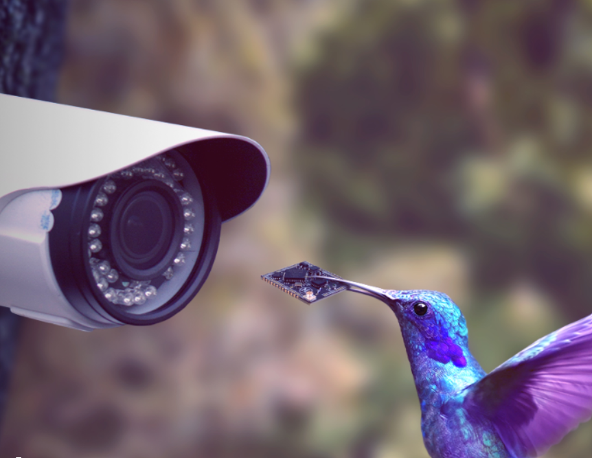 Internet des objets : Champion du Wi-Fi HaLow, Morse Micro lève 95 ...